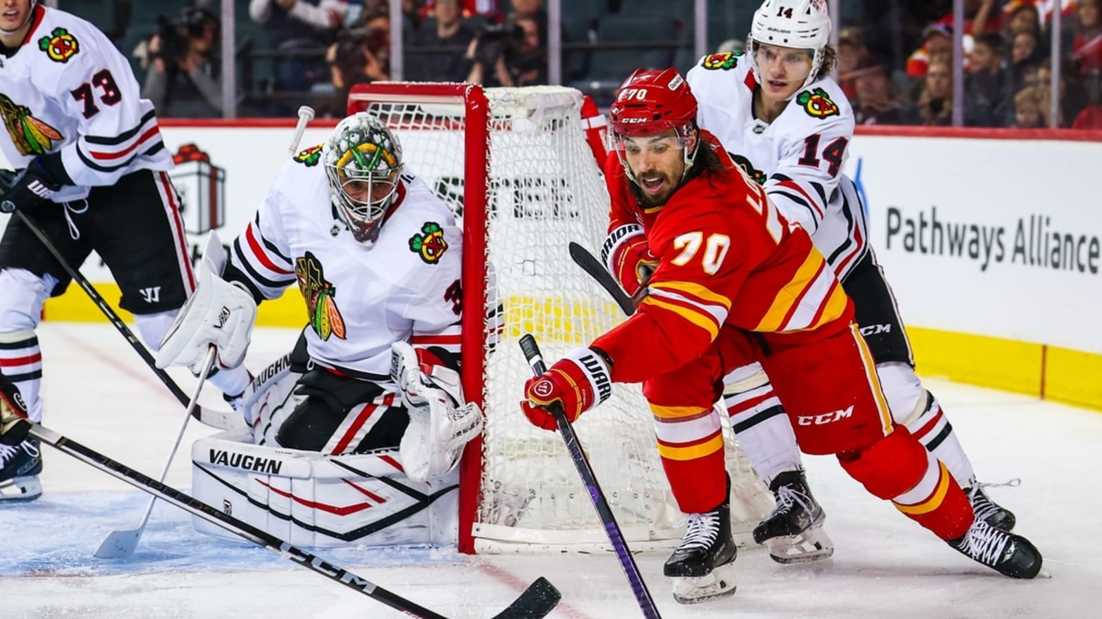 Hawks Talk